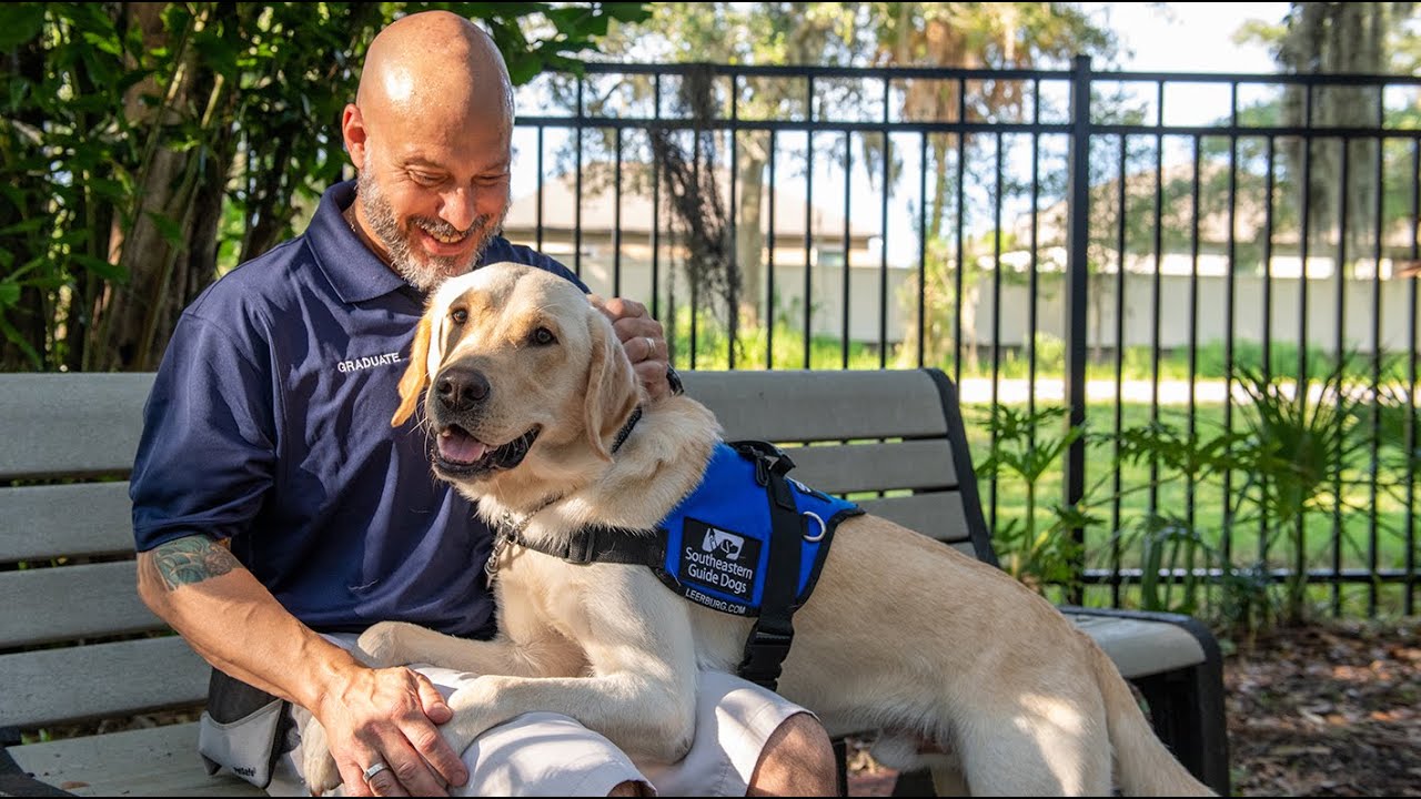 What You Need To Know About Service Animal Training